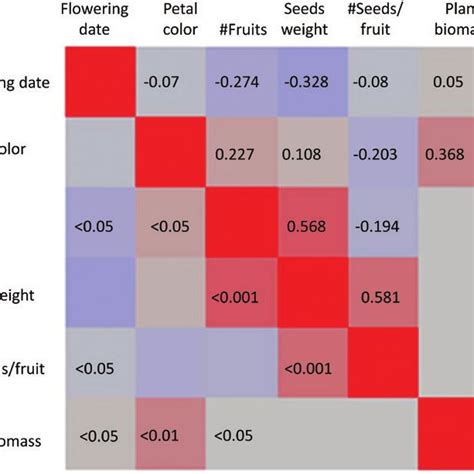 A Color Map Of Pairwise Correlations Between Phenotypic Traits Values