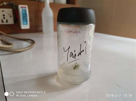 Maidul Islam Rumi On Linkedin Nib