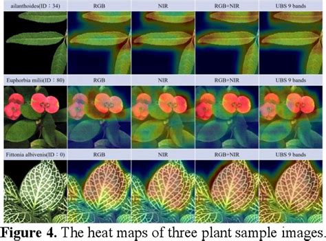 Figure 4 From Plant Species Recognition Based On Hyperspectral Plant Canopy Images With Deep