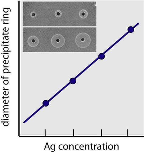 Radial Immunodiffusion Test At Edwin Hershman Blog