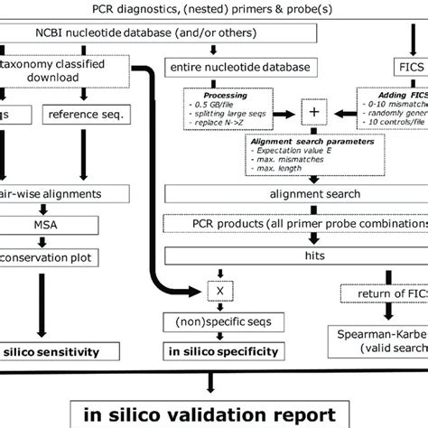 Schematic Overview Of The In Silico Validation Procedure Automated By Download Scientific