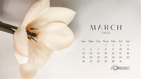 March Calendar Background Printable Calendars At A Glance