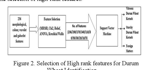 Figure 2 From Durum Wheat Classification Using Feature Selection