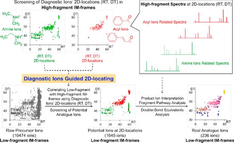 Schematic Diagram Of Diagnostic Ion Guided 2D Locating On LC IM MS Download Scientific Diagram