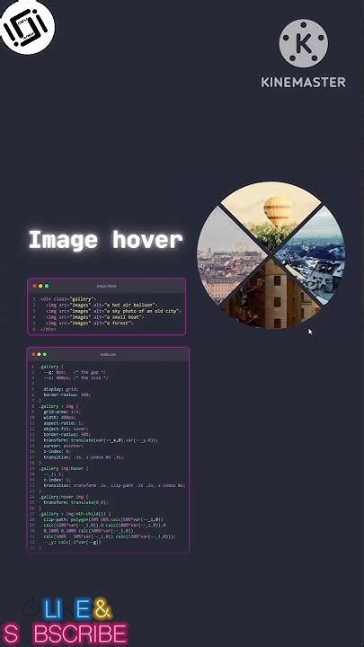 Circular Image On Hover Effect Using Html Css Devarea Shorts Youtube