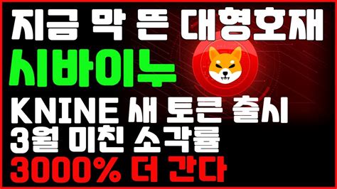 시바이누 코인 도지킬러 대박 호재 터졌습니다 매수 못했다면 지금이라도 이 가격 오면 기회잡으세요 Youtube