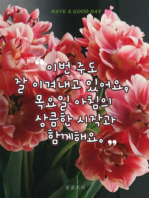 목요일 인사말 아침 인사 이미지 모음카톡 문자