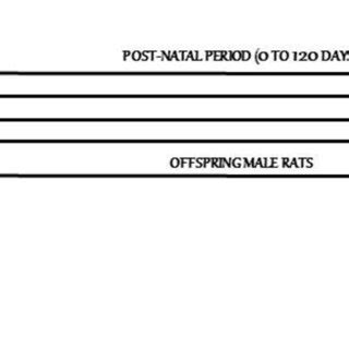 Experimental Design Download Scientific Diagram