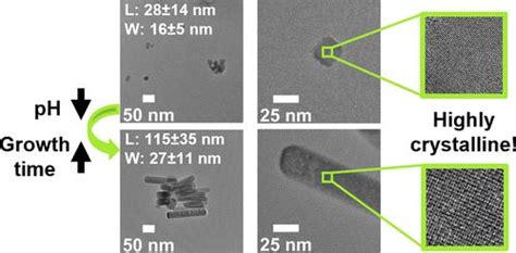 作为潜在纳米肥料的尺寸可调羟基磷灰石纳米颗粒的可扩展合成 Acs Applied Nano Materials X Mol