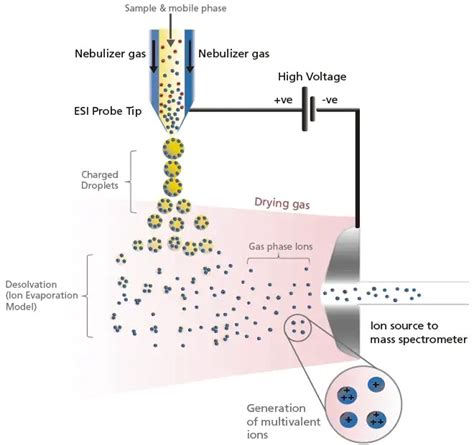 Interfaces For LC MS Shimadzu Deutschland