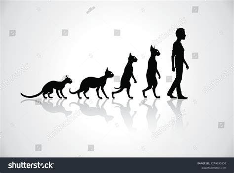 Human Evolution Funny