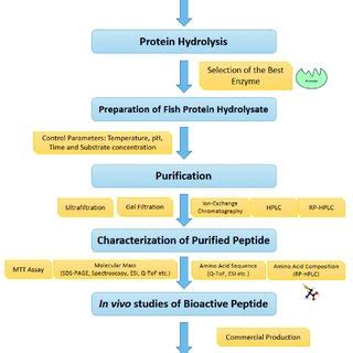 Pdf A Review On Purification And Characterization Of Anti