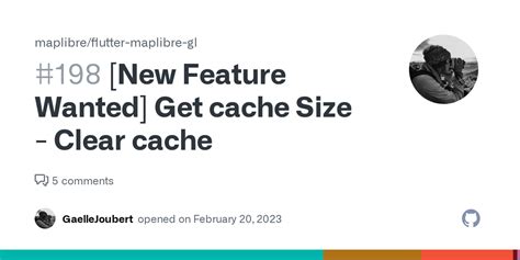 New Feature Wanted Get Cache Size Clear Cache Issue 198