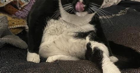 Booger Eater Album On Imgur