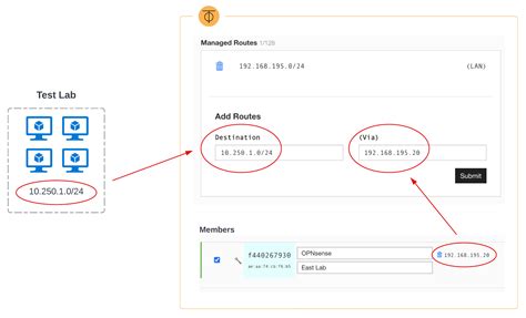 Exploring ZeroTier For Remote Access Blog