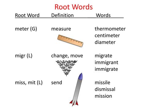 Ppt Root Words Powerpoint Presentation Free Download Id7024050