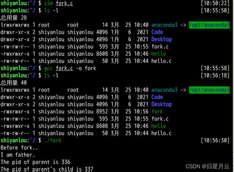 实验 Linux Shell实现模拟多进程并发执行【操作系统】 Csdn博客