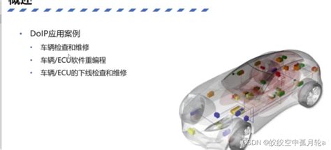 Doip的基本信息（一）doip功能寻址和物理寻址 Csdn博客