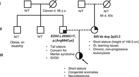 Co Occurrence Of A Maternally Inherited Dnmt3a Duplication And A Paternally Inherited Pathogenic