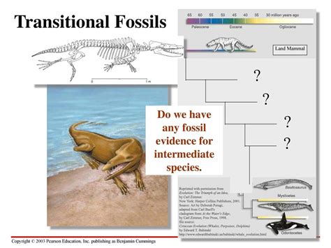 Evolution Notes 1 Chapters Evidences And Causes Of Evolution Ppt