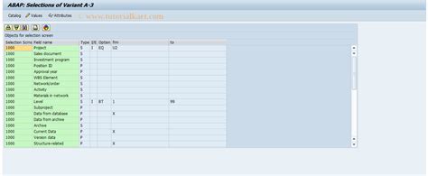 Cn70 Sap Tcode Overview Batch Variants Transaction Code
