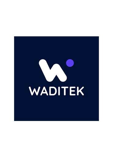 Waditek Digital Strategy Salesforce And Talent Consultancy