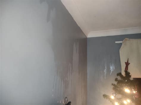 How Do I Fix Damp Walls Like This Rdiyuk