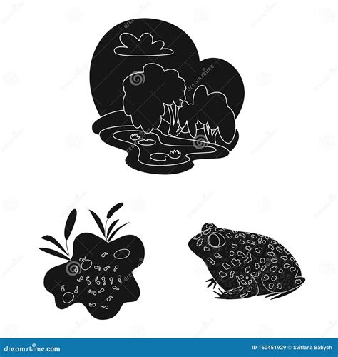 Isolated Object Of Fauna And Reptile Symbol Collection Of Fauna And Anuran Stock Symbol For Web