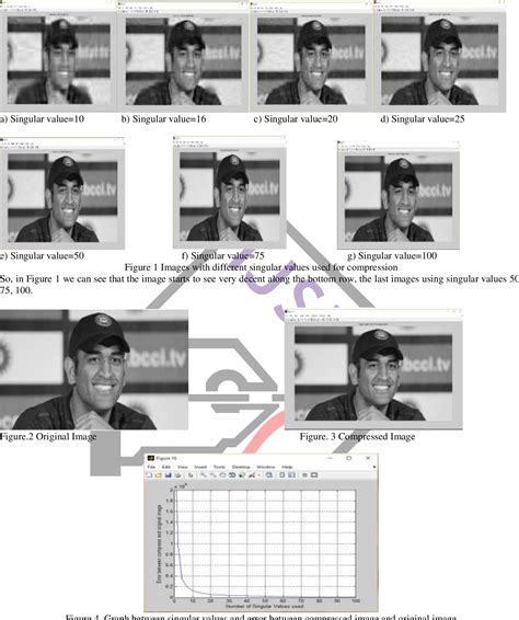 Figure 1 From Singular Value Decomposition Application In Image