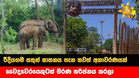 රිදිගම සතුන් ඝාතනය ගැන තවත් අනාවරණයක් වෛද්‍යවරයෙකුටත් මරණ තර්ජනය කරලා