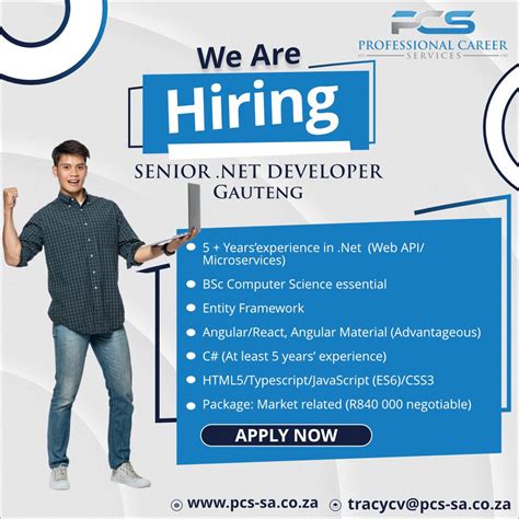 Seniordeveloper Netdeveloper Jobopportunity Techcareers