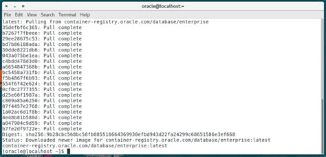 How To Deploy An Oracle Database 19c Docker Container Sean Stacey