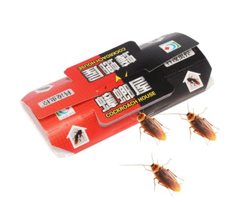 Cockroach House Good Quality High Efficiency Killing Cockroach