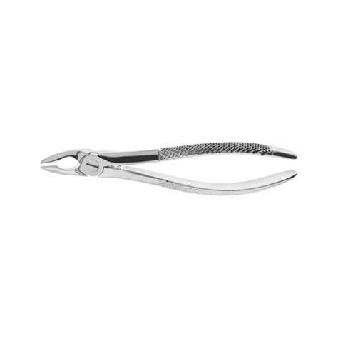 Nordent 35n Upper Bicuspid Extraction Forcep Ace Southern