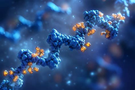 Targeting Enzyme Tyk2 Could Reduce Tau In Alzheimers Disease Neuroscience News