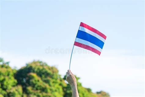 Hand Holding Thailand Flag On Nature Background Thai Nation Day And Father Day Concepts Stock