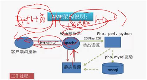 Lnmp