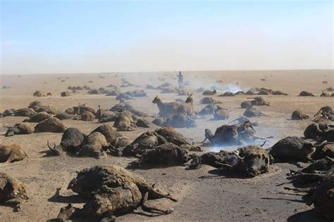 Түймэрт өртөгсдөд туслах ажлын хэсэг байгуулав