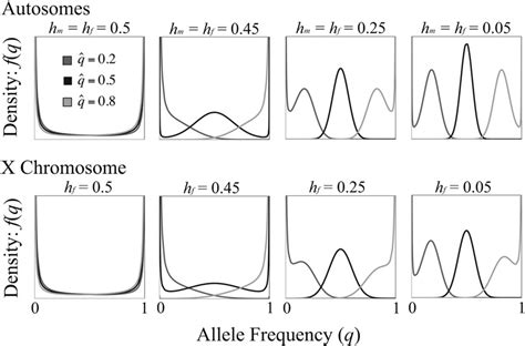The Efficacy Of Balancing Selection Is Enhanced By Recessive Sexually