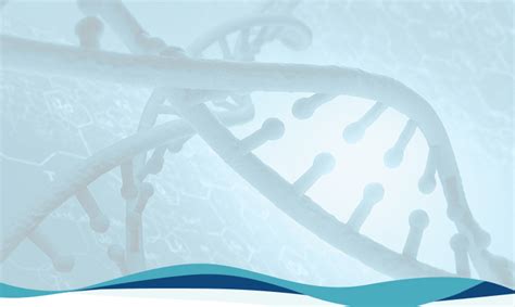 全球首款 本导基因vlp体内基因编辑疗法bd111注射液ind获批 公司新闻 本导基因