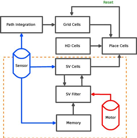 Biologically Inspired Model For Underwater Localization Our Download Scientific Diagram