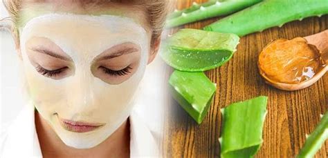 Алоэ с медом: что лечит, рецепты, как принимать