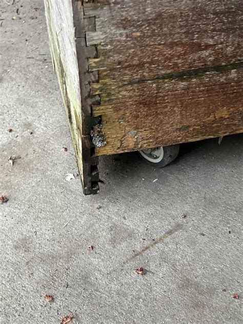 Rotting Cedar Planter Rgardening