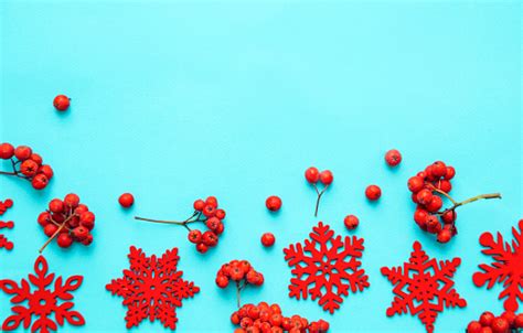 겨울 구성 파스텔 블루 배경에 눈송이와 빨간 열매 로완으로 만든 프레임 크리스마스 겨울 새해 컨셉 플랫레이 상단 뷰 복사 공간 0명에 대한 스톡 사진 및 기타 이미지