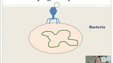 Substitution Biology