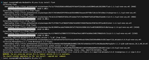 Flask Flask Framework 02 첫 사용 서버만들기 2 Macos Port 5000 오류 해결