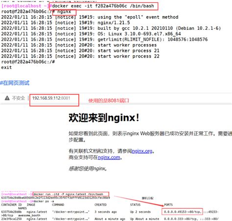 Docker 网络详解（host、container、none、bridge网络模式）docker不过些许风霜罢了 云原生