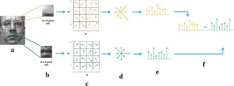 Hog Features Extraction Process Image Is Divided In Cells Of Size N × Download Scientific