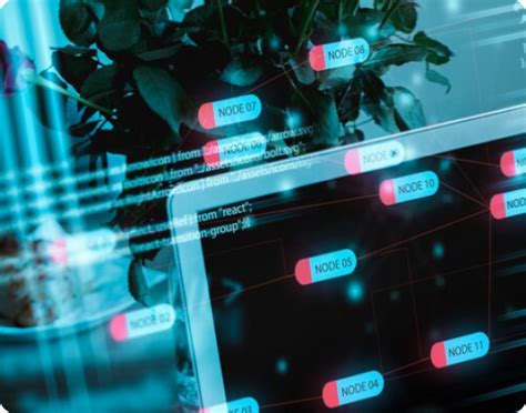 Platma Lowno Code Development Platform