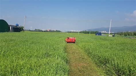 제초기 농기계 농업용 원격조종제초기 경사면 제초 무선조종제초기 무적 1200r 동력제초기 보영엔지니어링 로터리 제초기 유압 궤도 바퀴 저수지뚝 제초기 기계 Youtube